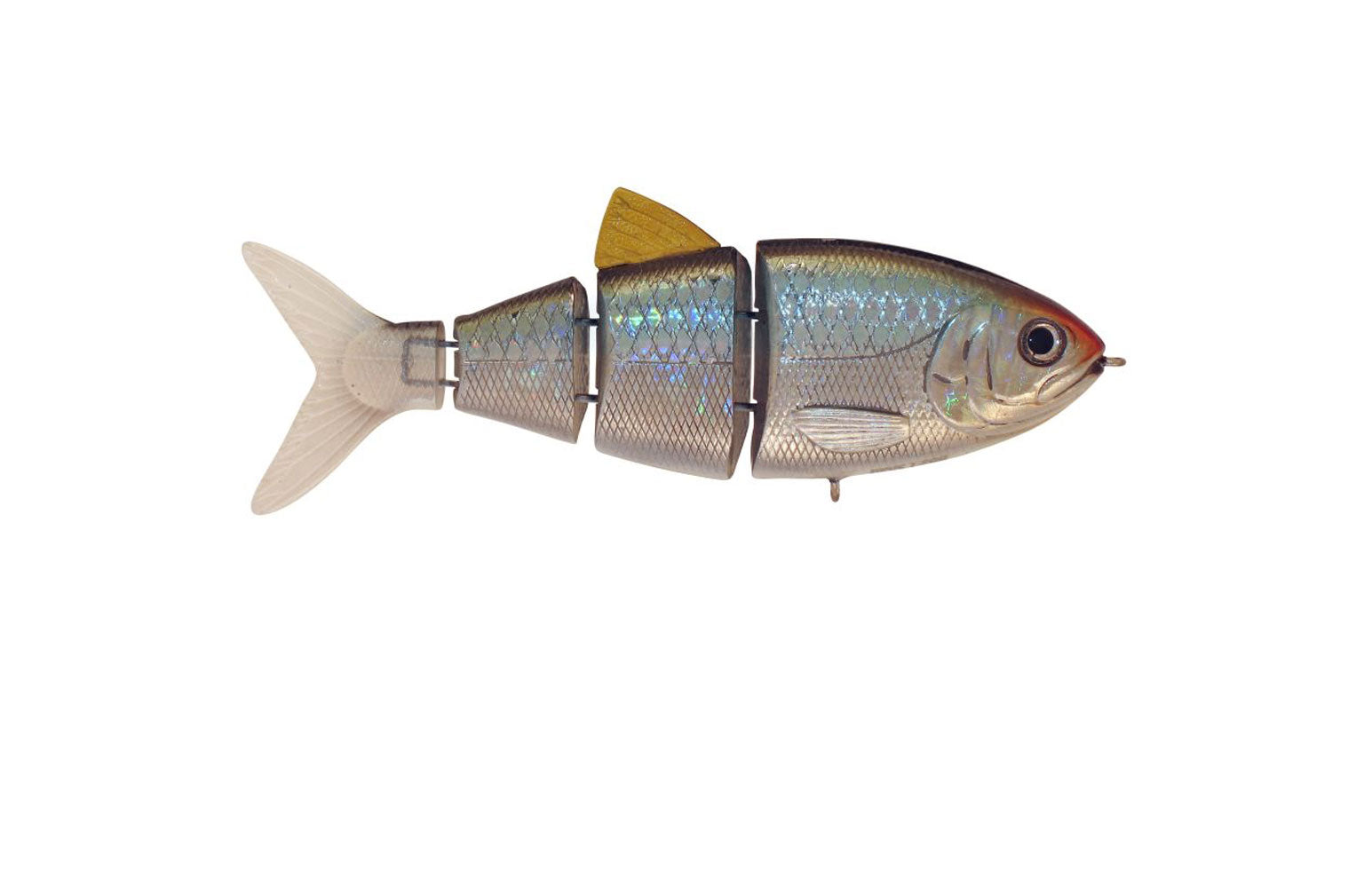 Hard Body – Fishermans Central