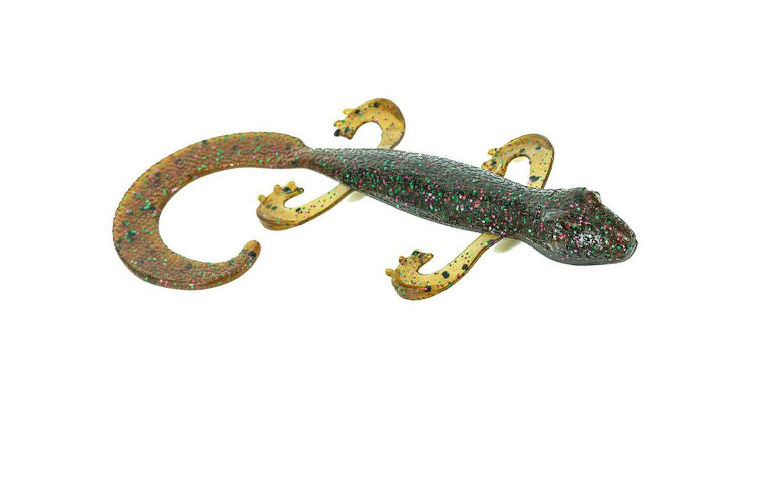 Lizards – Fishermans Central