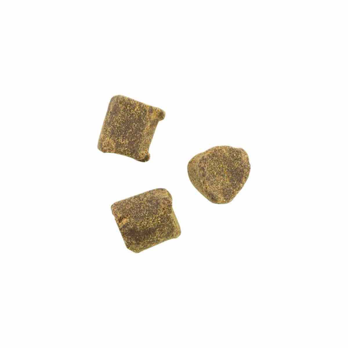 Berkley PowerBait Catfish Bait Chunks – Fishermans Central