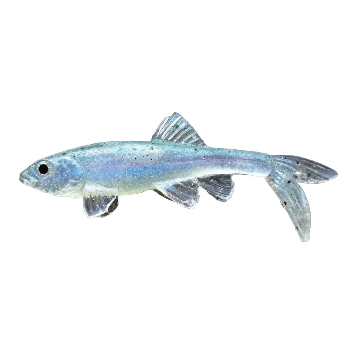 All American Trash Fish_KC's Ghost* – Fishermans Central